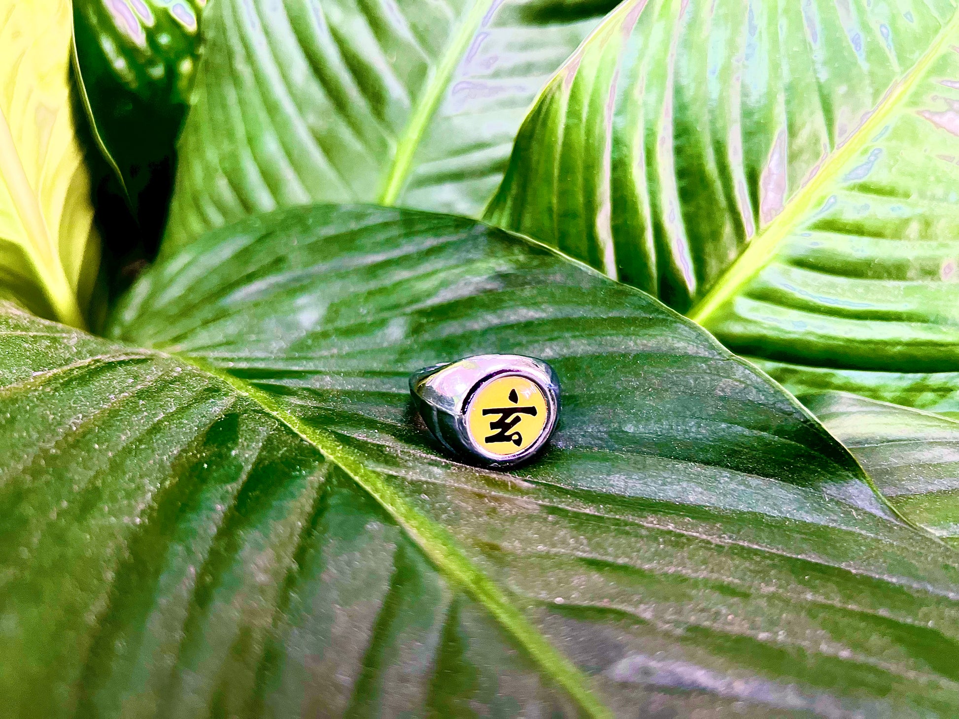 Zetsu´s Akatsuki Ring - Naruto – Mizuyama