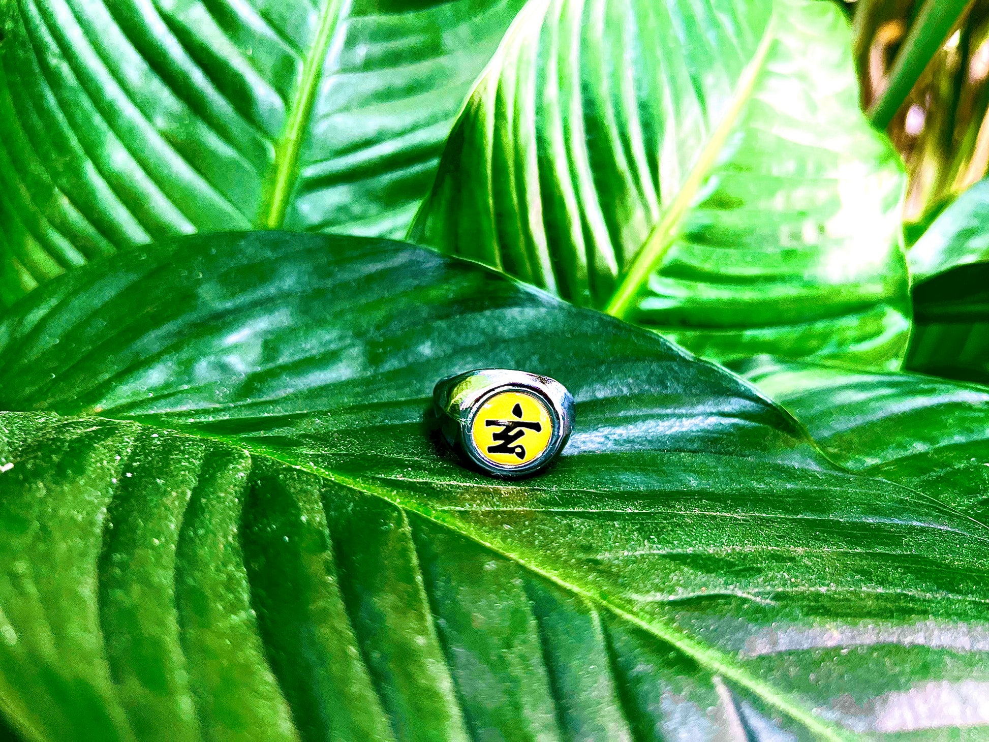 Zetsu´s Akatsuki Ring - Naruto – Mizuyama